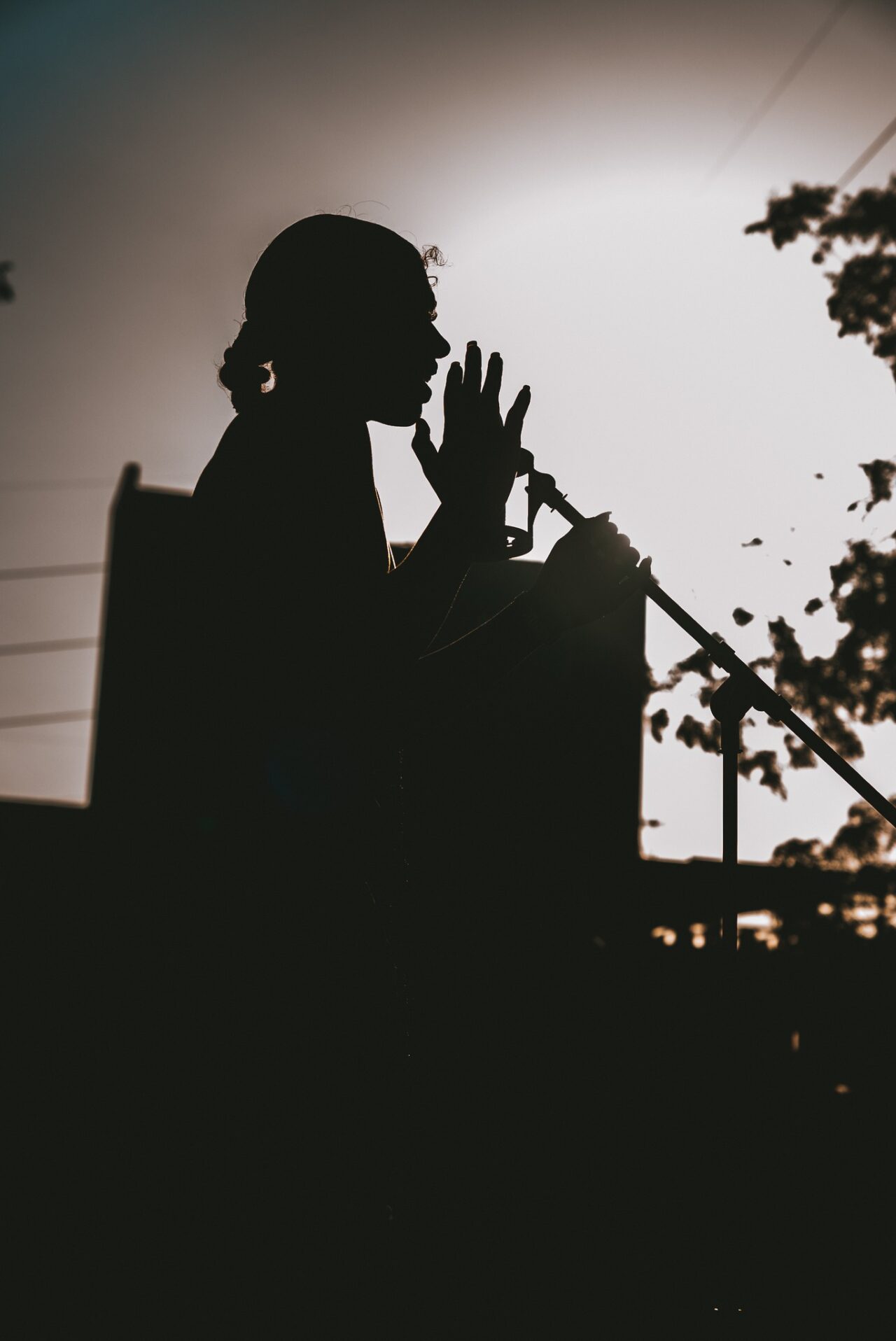 Booking - Renee Harmoni Music